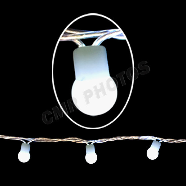100L LED G12 Party Lights - Cumberland, MD - American Rent All